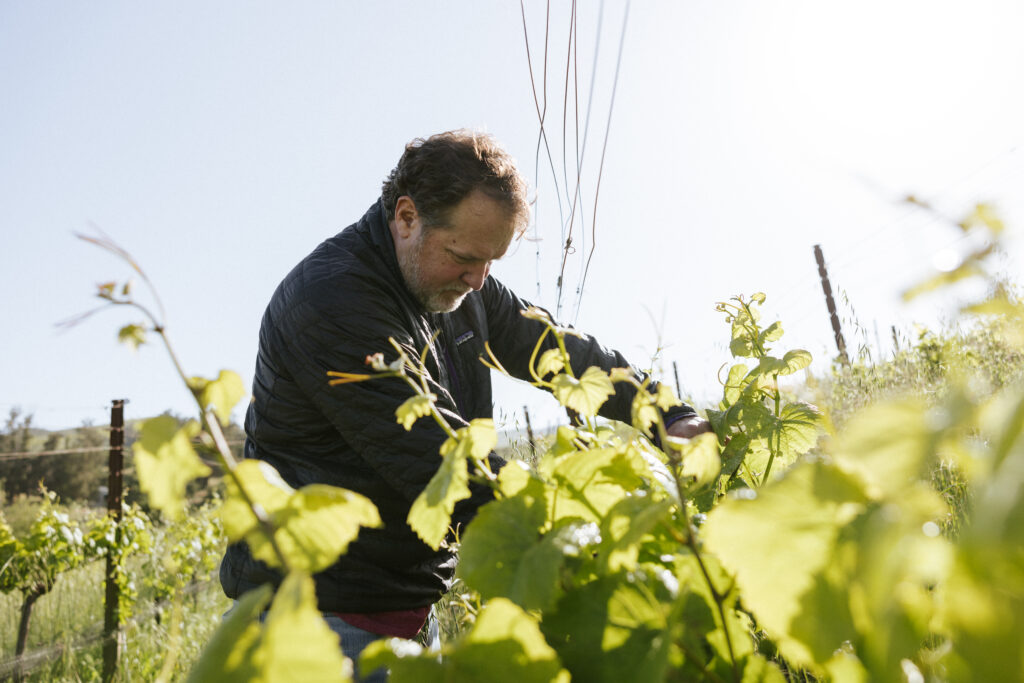 Melville Winery Spring 2025 Club Collection - Melville Winery